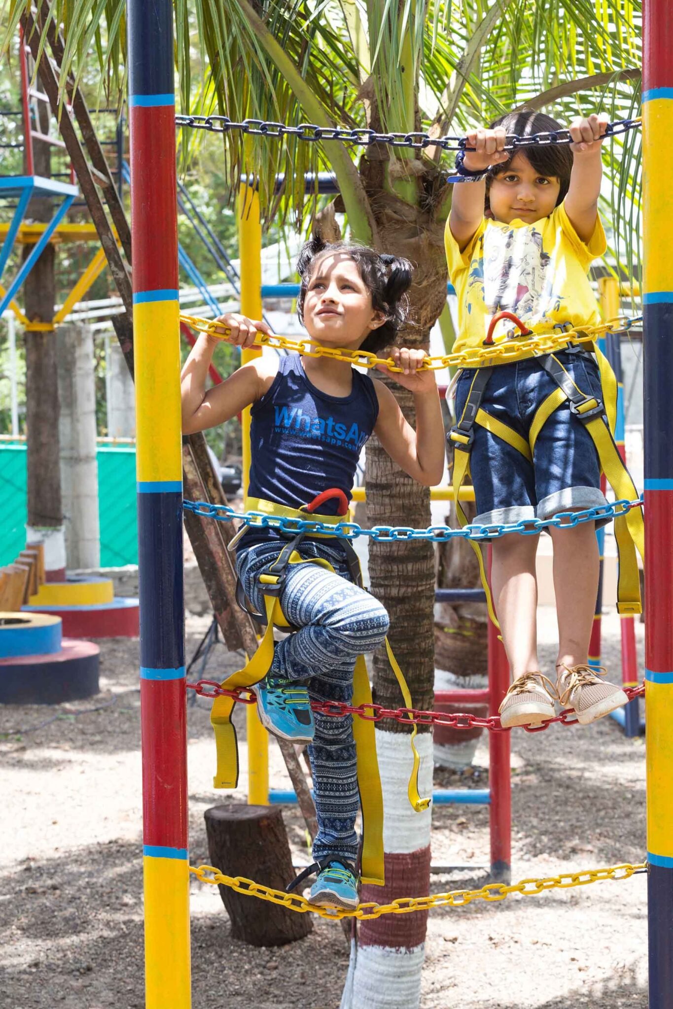Gallery - Go Crazy Adventure & Resort